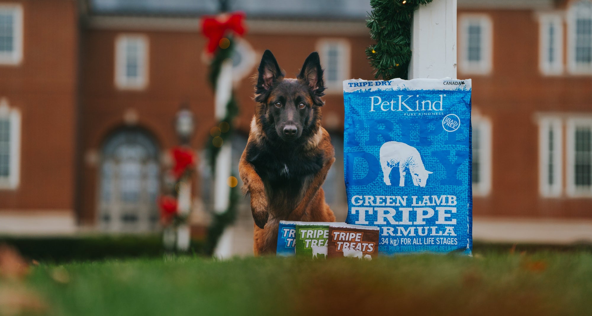 PetKind Home