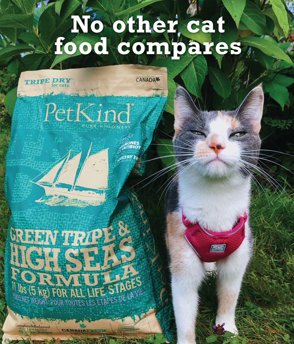 Tripe Dry for Cats